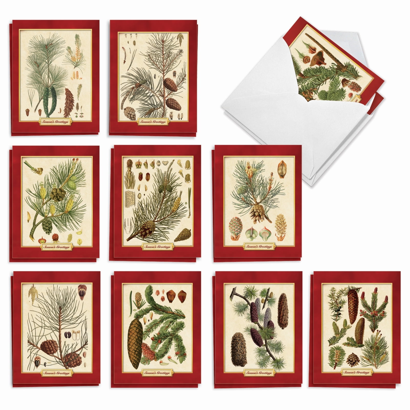 20 Merry Christmas Note Cards Pack (10 Designs, 2 Each) - Pining for ...