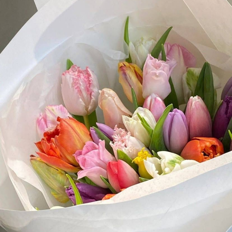 20 Mixed Tulip Bulbs, Ready to Grow Tulip Mix for Outdoor Beds, Pots ...