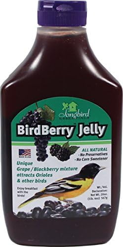20 Ounce BirdBerry Jelly Squeeze Bottle Bird Feeder Jelly, Grape and ...