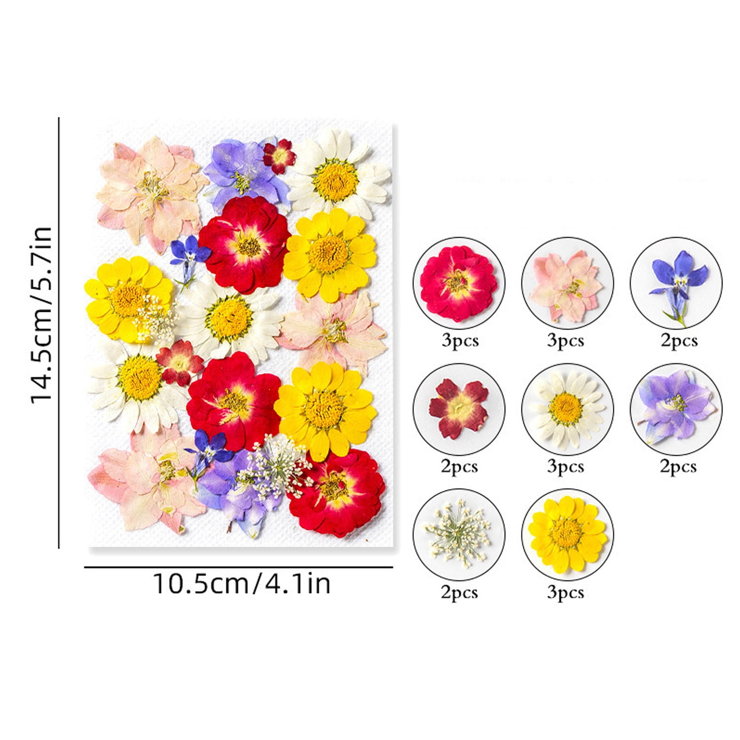 20 PCS Bookmark, Bookmarks For Women, Transparent Dried Flower ...