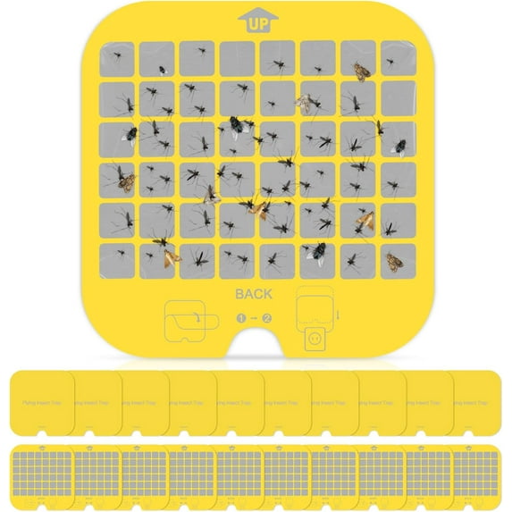 20 PCS Flying Insect Refills for Indoor Fly Light Trap, Indoor Fly Trap ...