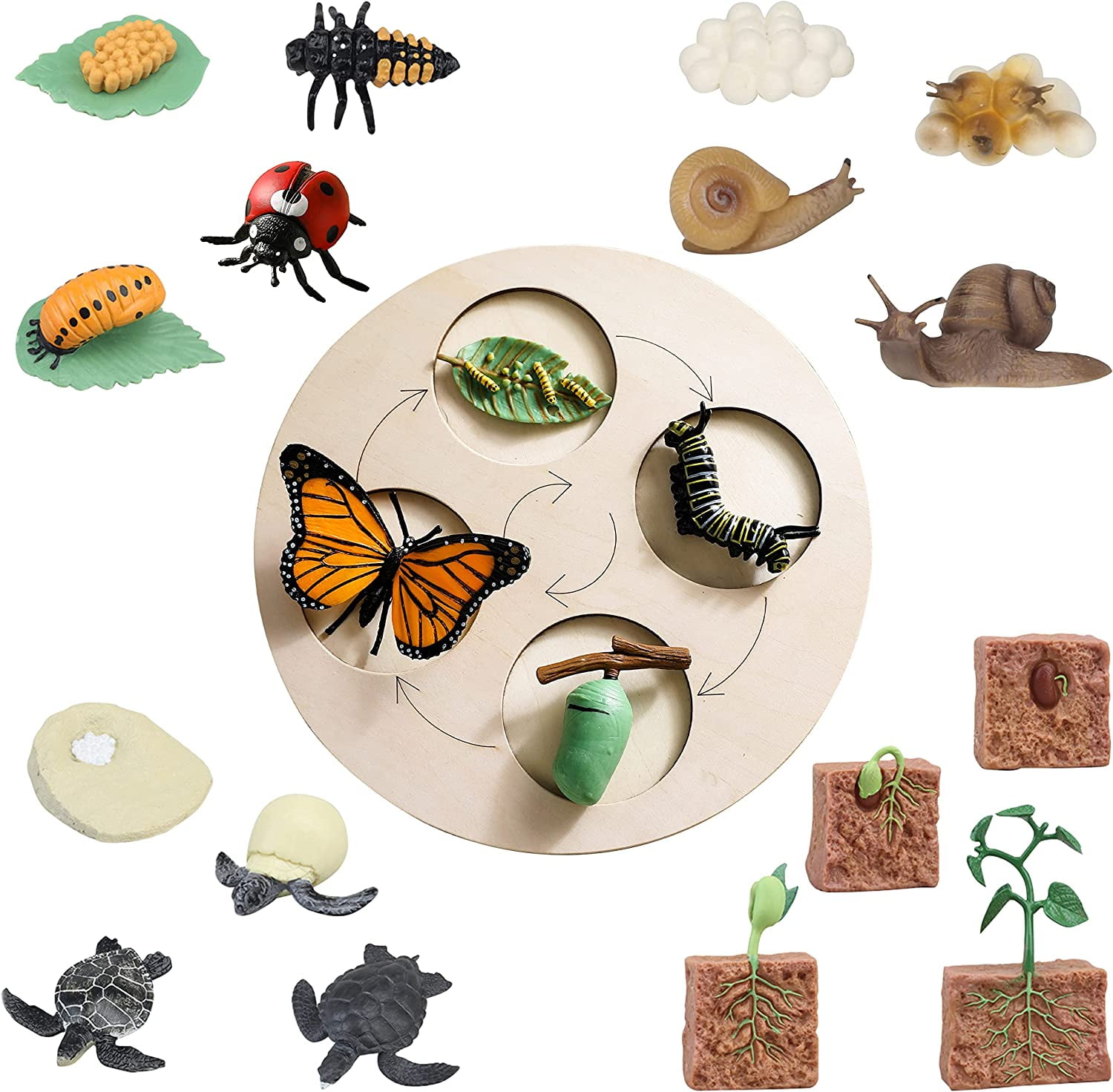 20 PCS Life Cycle Figurines of Butterfly Ladybug Snail Turtle Plant ...