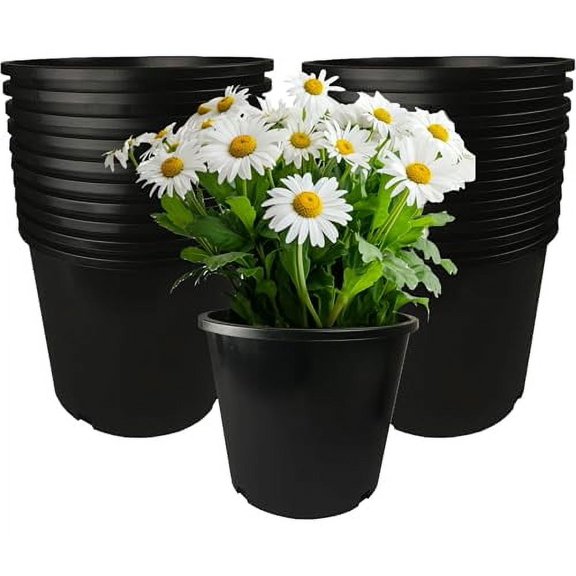 3 Gallon Pots Plants