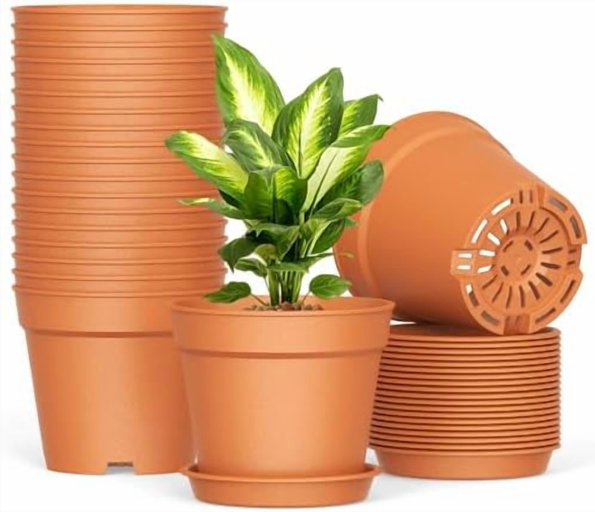6 Inch Plant Pots