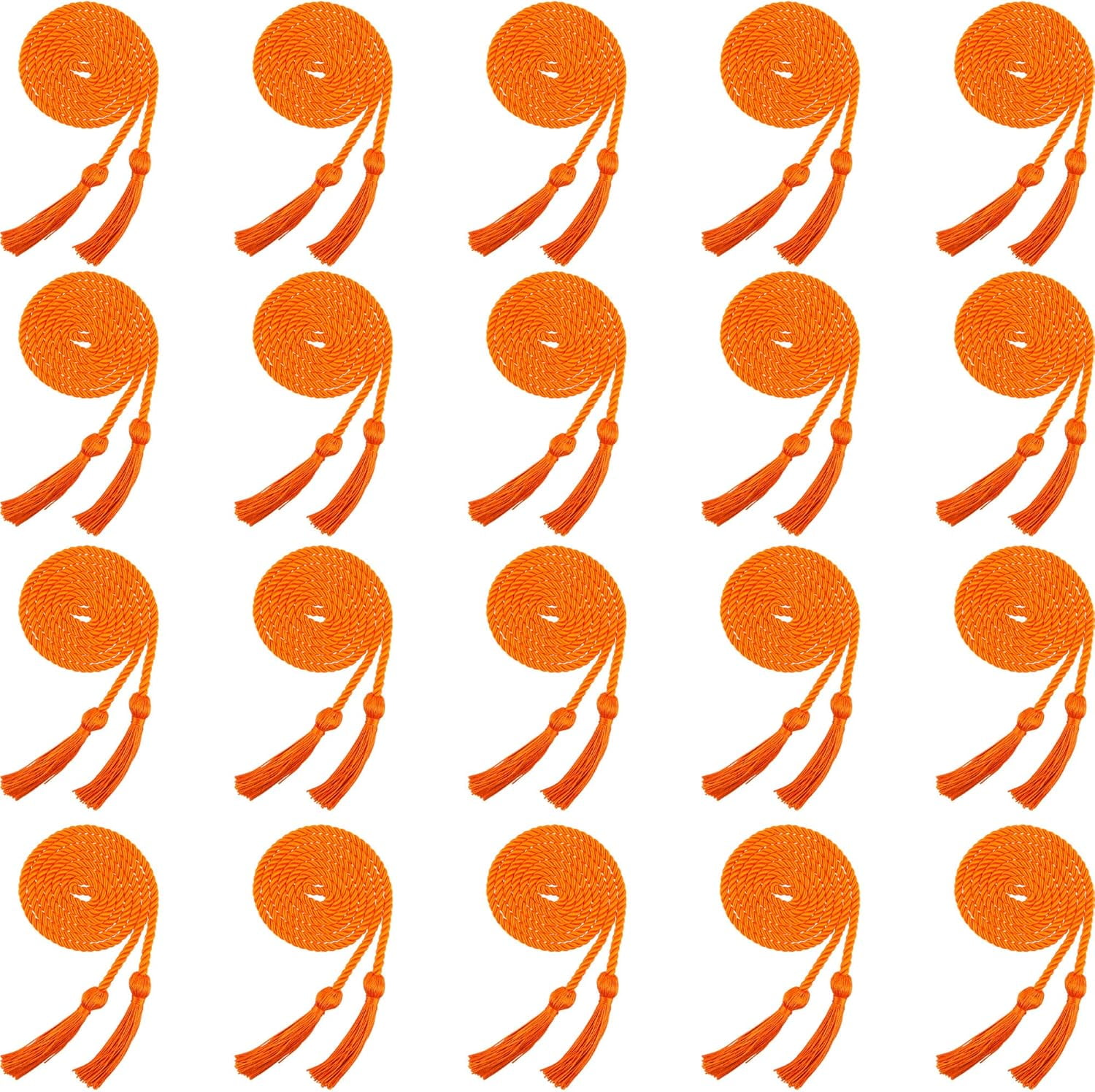 20 Pack Graduation Cords Yarn Honor Cords with Tassel for College ...