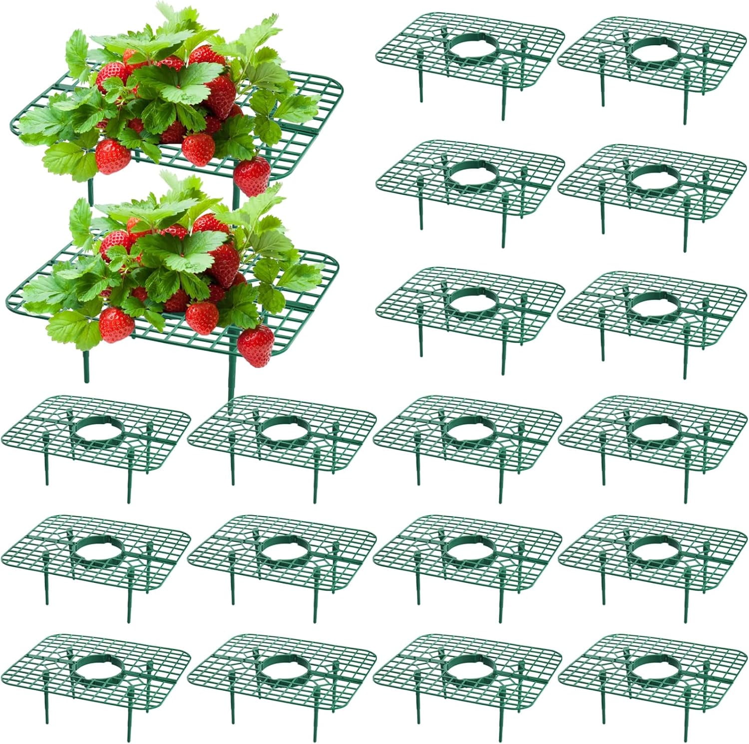 20 Pack Square Strawberry Supports, Strawberry Growing Rack with 4 ...