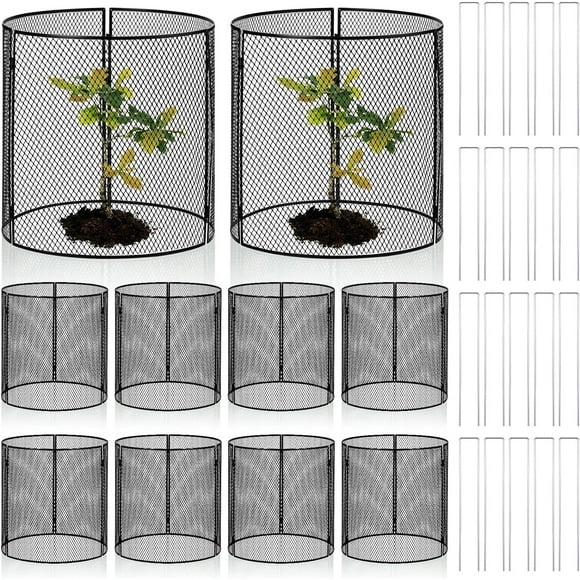 Plant Cages To Protect From Rabbits
