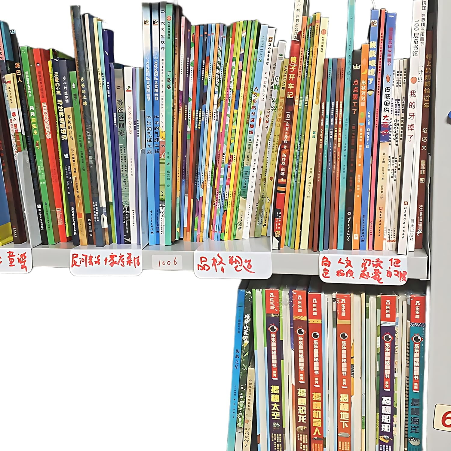 20 Pcs 28 * 12CM 1MM Shelf Divider for Library Labels;Bookshelf Labels ...
