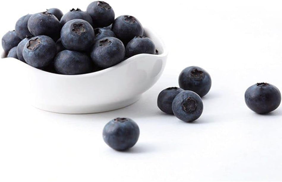 20 Pcs Artificial Blueberries Plastic Fake Blue Berry Plants Realistic ...