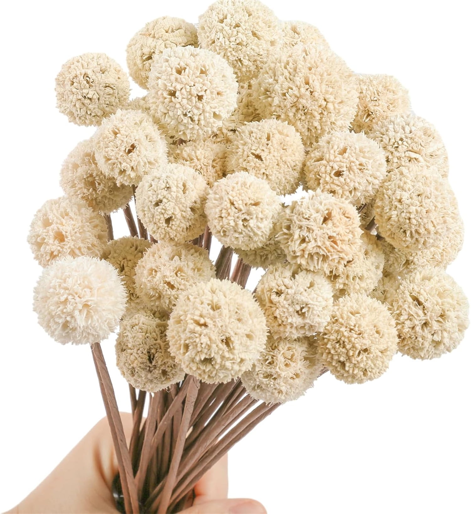 20 Pcs Artificial Craspedia Billy Balls Flowers,Happon Bill Balls ...