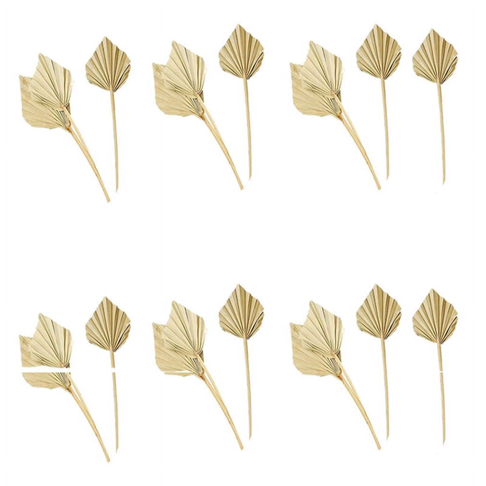 20 Pcs Boho Dried Palm Spears Natural Dried Palm Fans Dried Palm Leaves ...