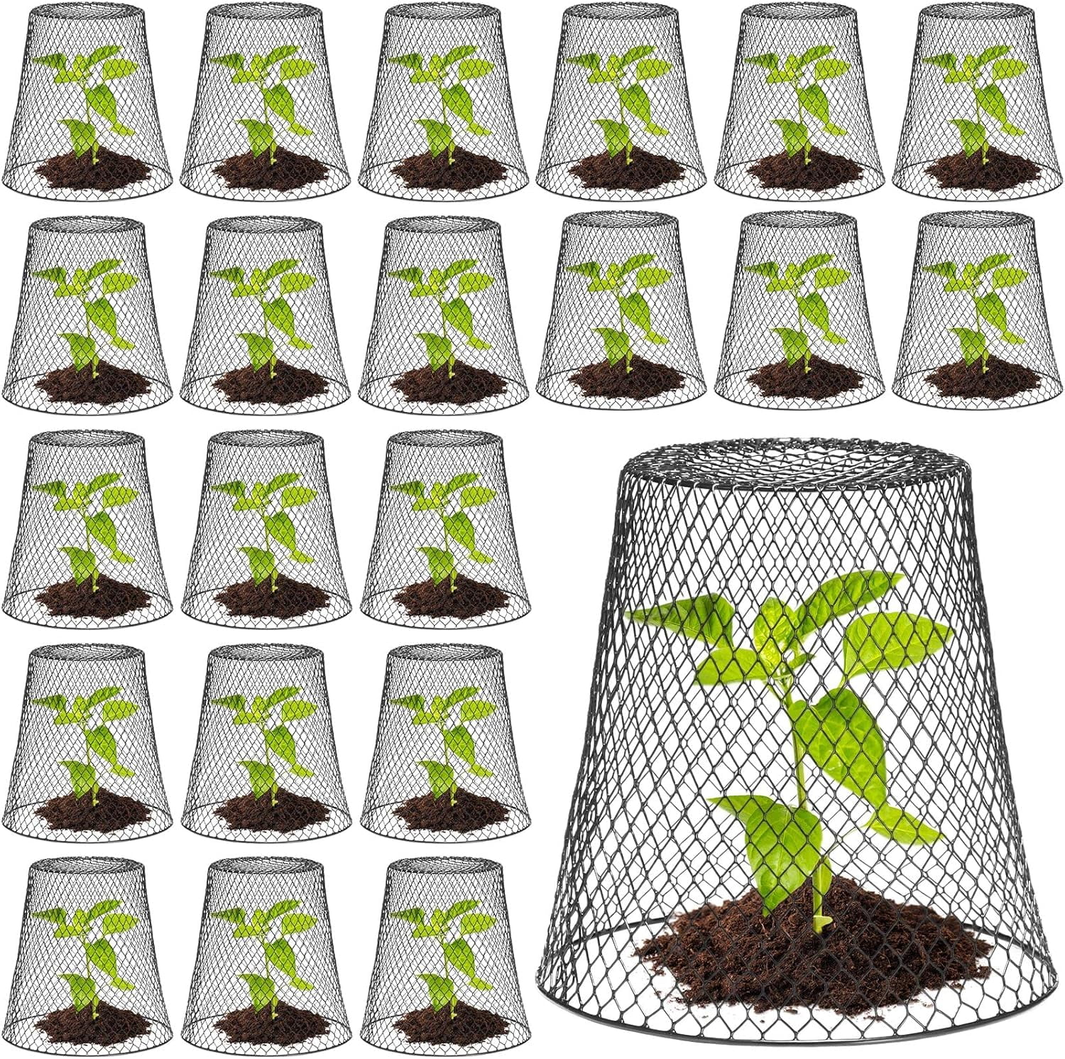 20 Pcs Chicken Wire Cloche Plant Protector Cover Metal Garden Cloche ...