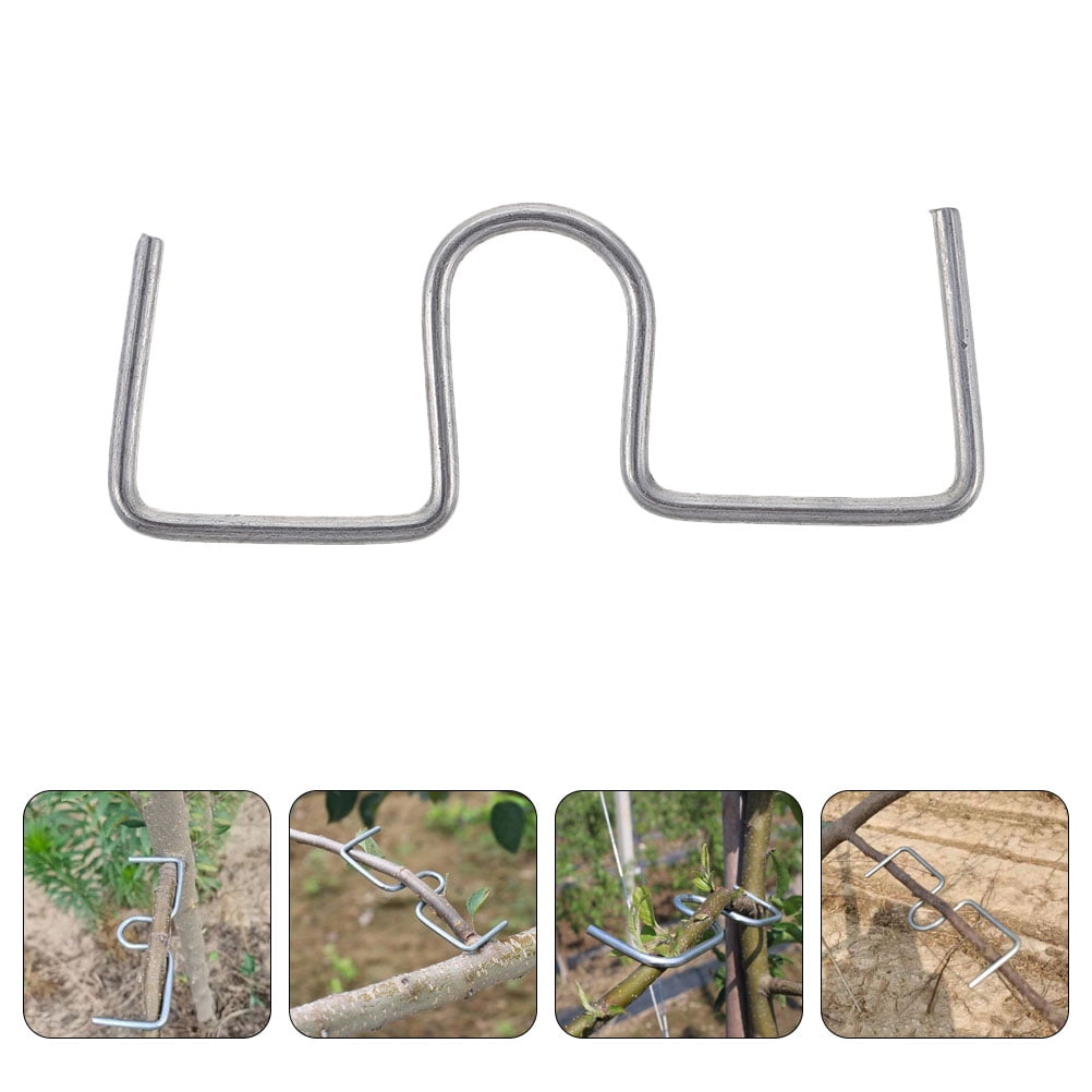 20 Pcs Fruit Tree Branch Spreader Tree Branch Limb Spreader Bonsai ...