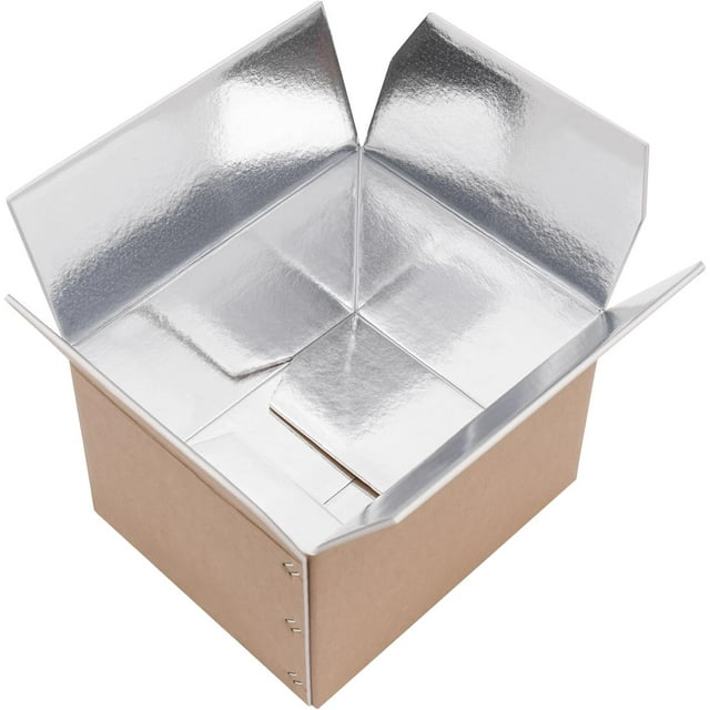 20 Pcs Insulated Shipping Box, 12" x 10" x 8" Large Large Cold Shipping ...