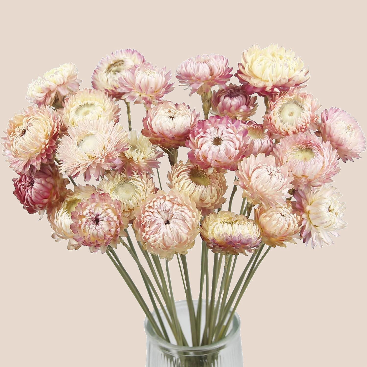 20 Pcs Natural Dried Daisy Flowers Bouquet Dried Flower Pink Daisies ...