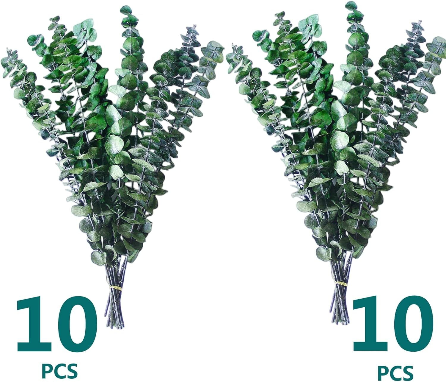 20 Pcs Preserved Dried Eucalyptus Stems, Dried Eucalyptus for Shower ...