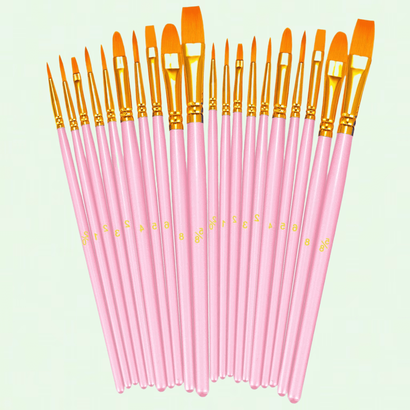 20 Pcs Round Point Paint Brushes, 2 Packs Acrylic Hair Nylon Bristle ...