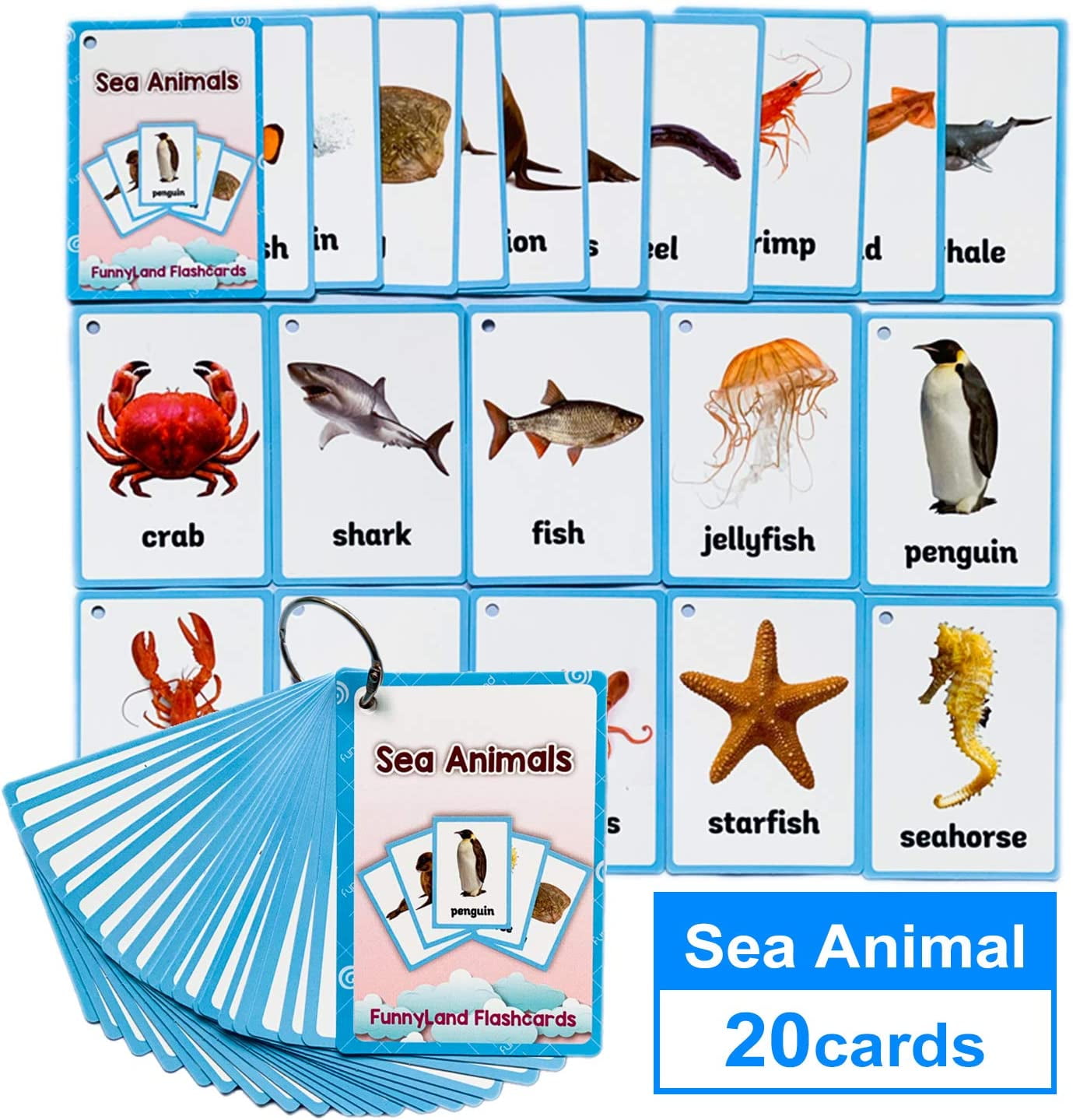 20 Pcs/Set Sea Animals Flash Cards | Learning Toys Flashcards for ...