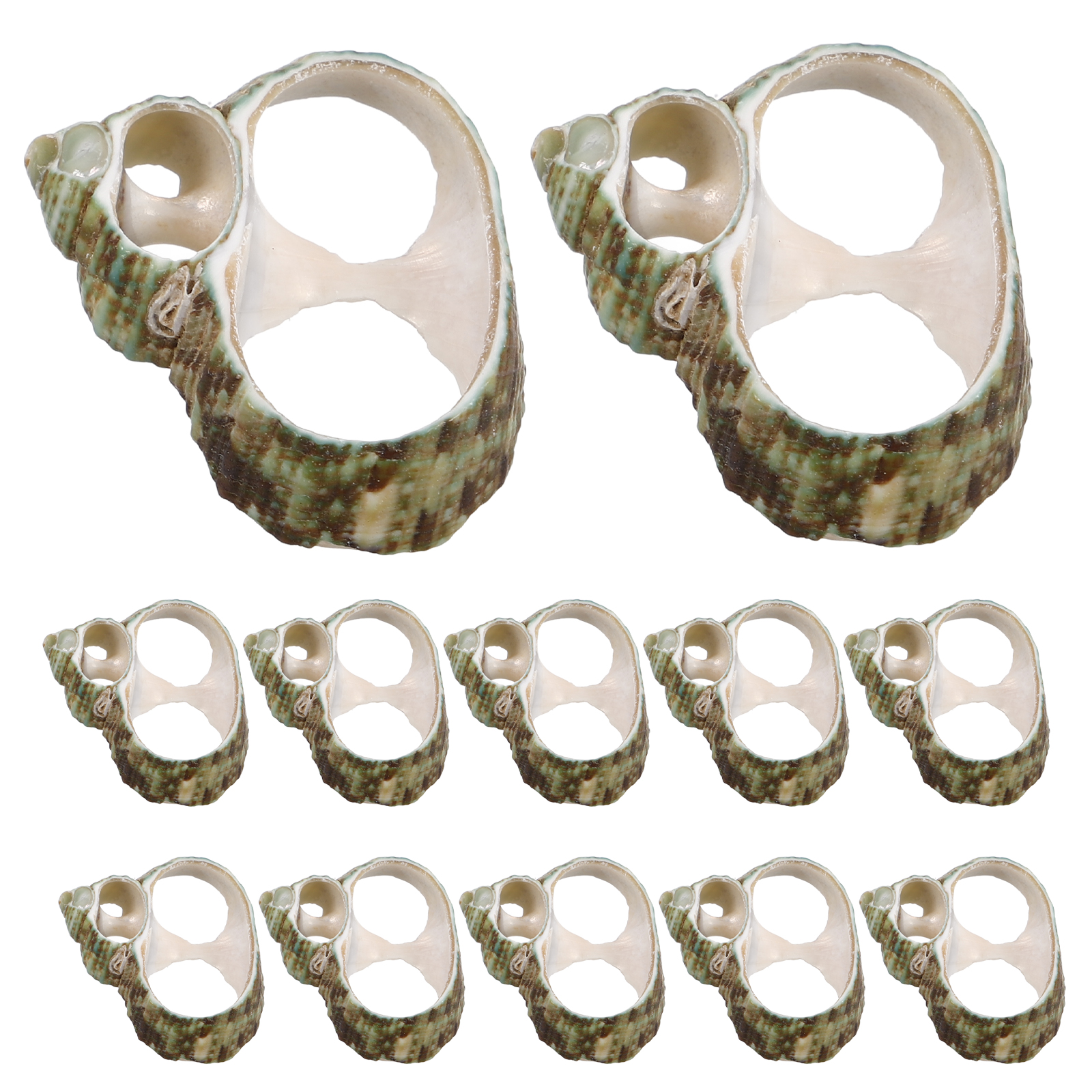 HOMEMAXS Mixed Shell Slices for DIY Craft and Decoration Use Natural ...