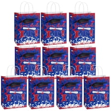 Graduation Bags for Party Supplies