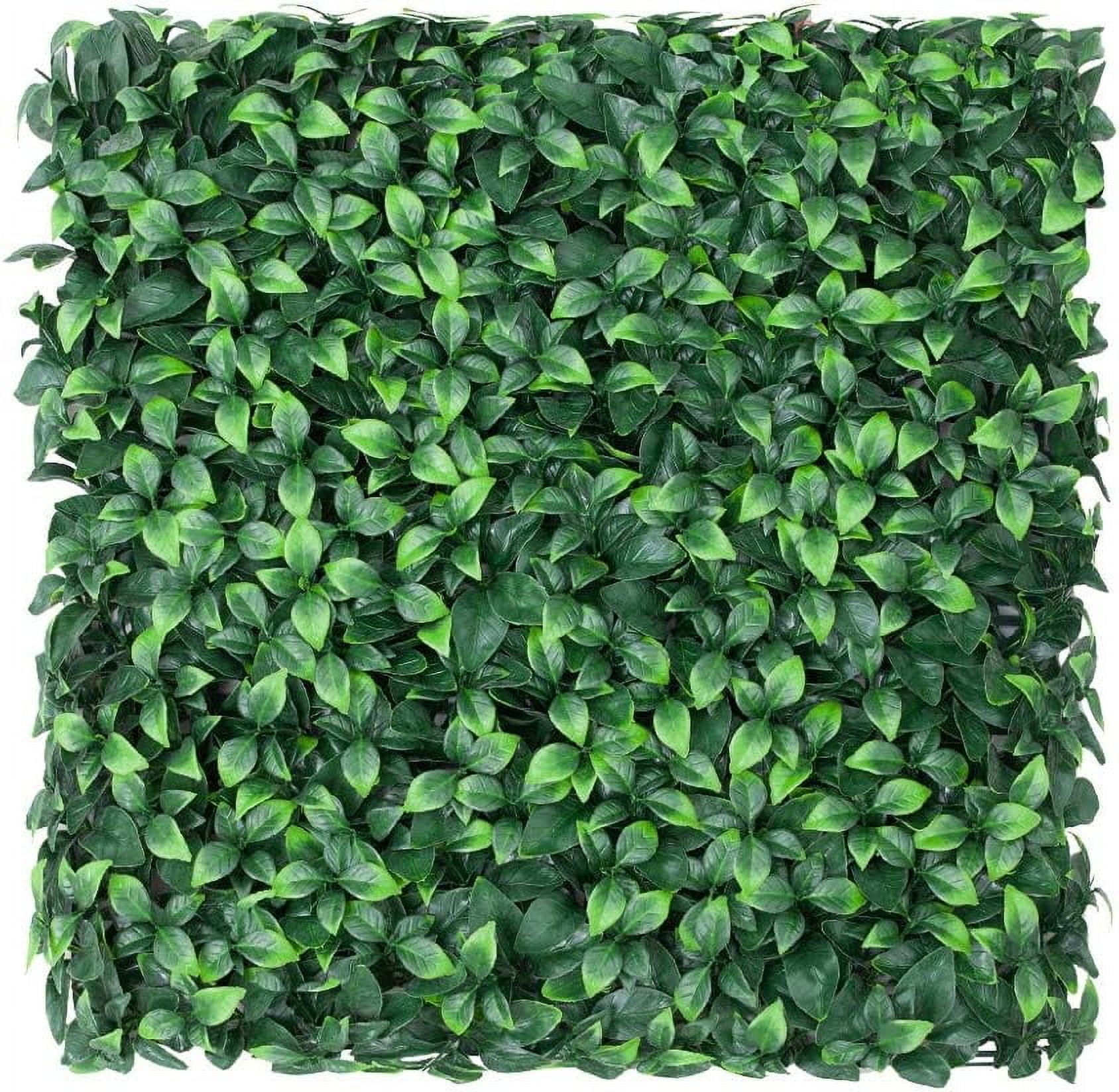 20 Pieces Artificial Boxwood Panels 20x20 Inches Green Wall Topiary ...