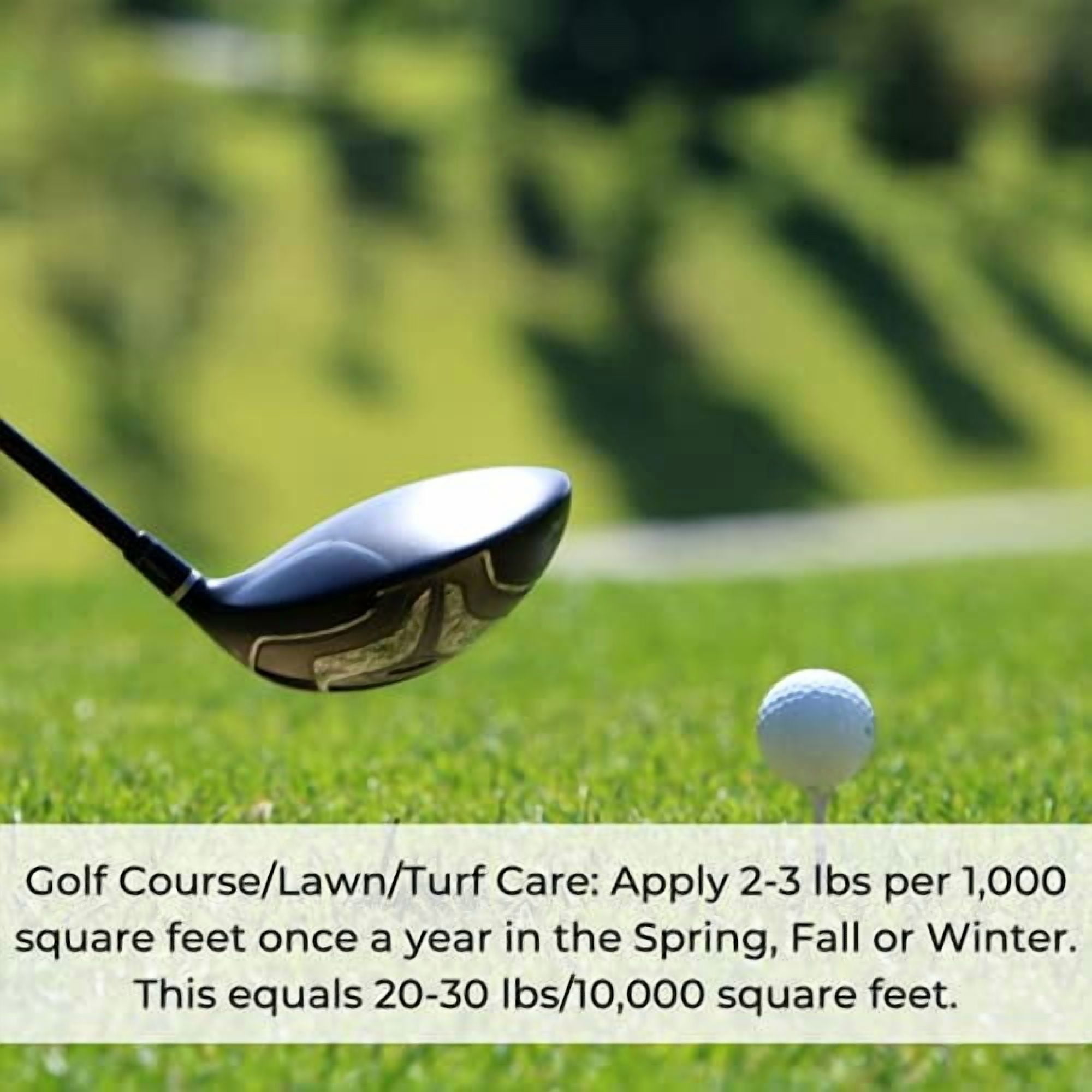 20 Pound Granular AZOMITE by The Seed Supply - Natural Trace Mineral ...