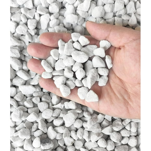 Perlite in Soil - Walmart.com