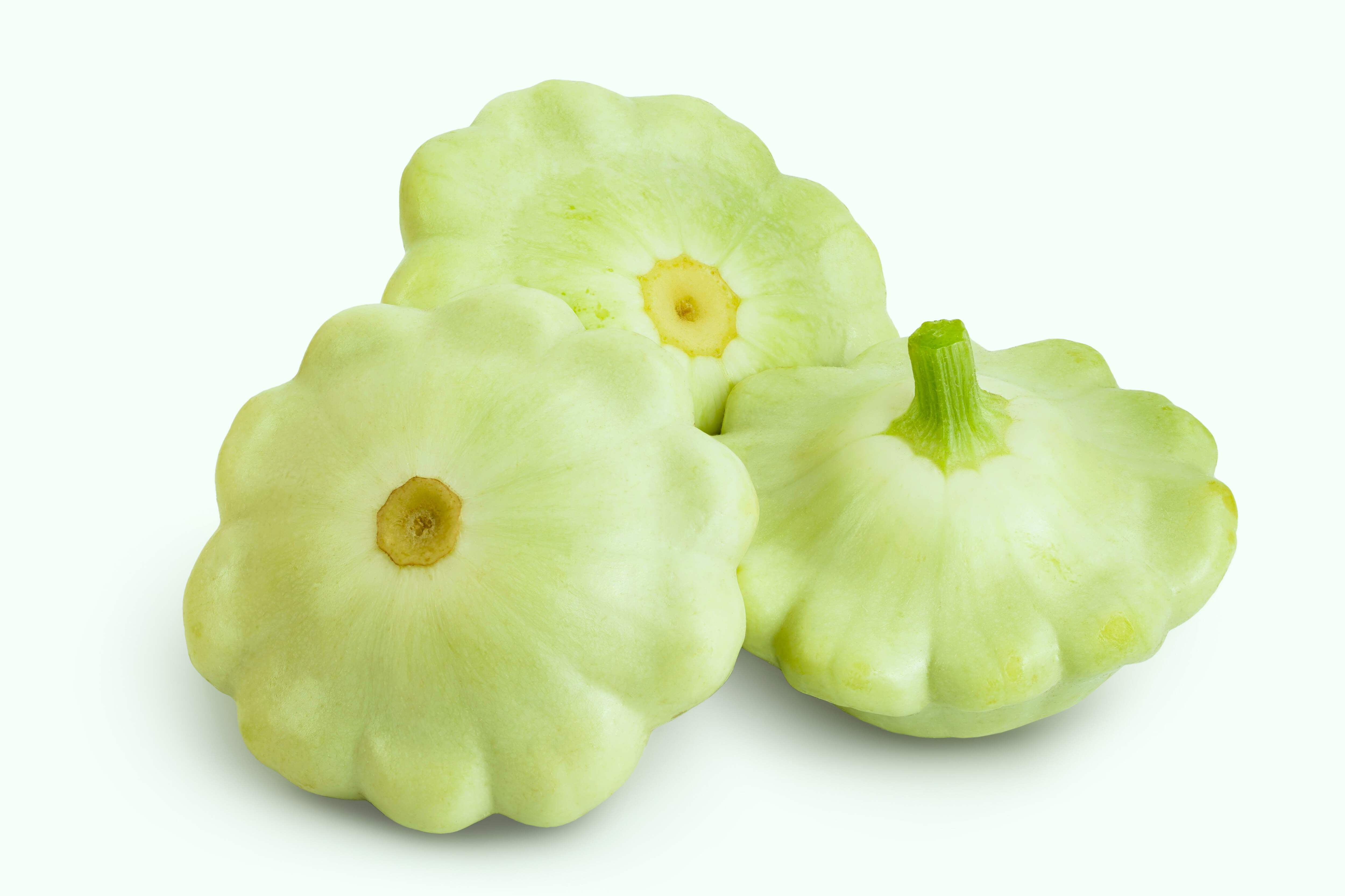 20 Seeds Green Tint BUSH SCALLOP SQUASH (Patty Pan / Paty Pan ...