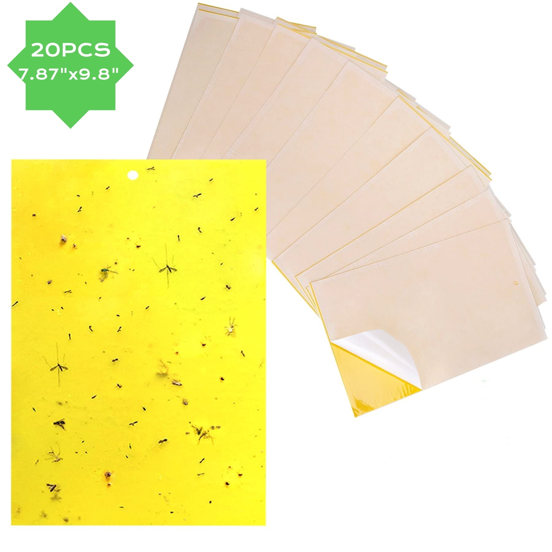 20 Sheets Sticky Fruit Fly Trap, Dual-Side Fruit Fly and Fungus Gnat ...