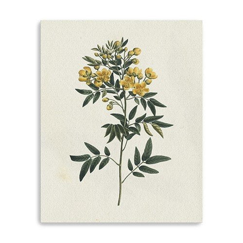 20" Singular Yellow Blossom Branch Canvas Wall Art - Walmart.com