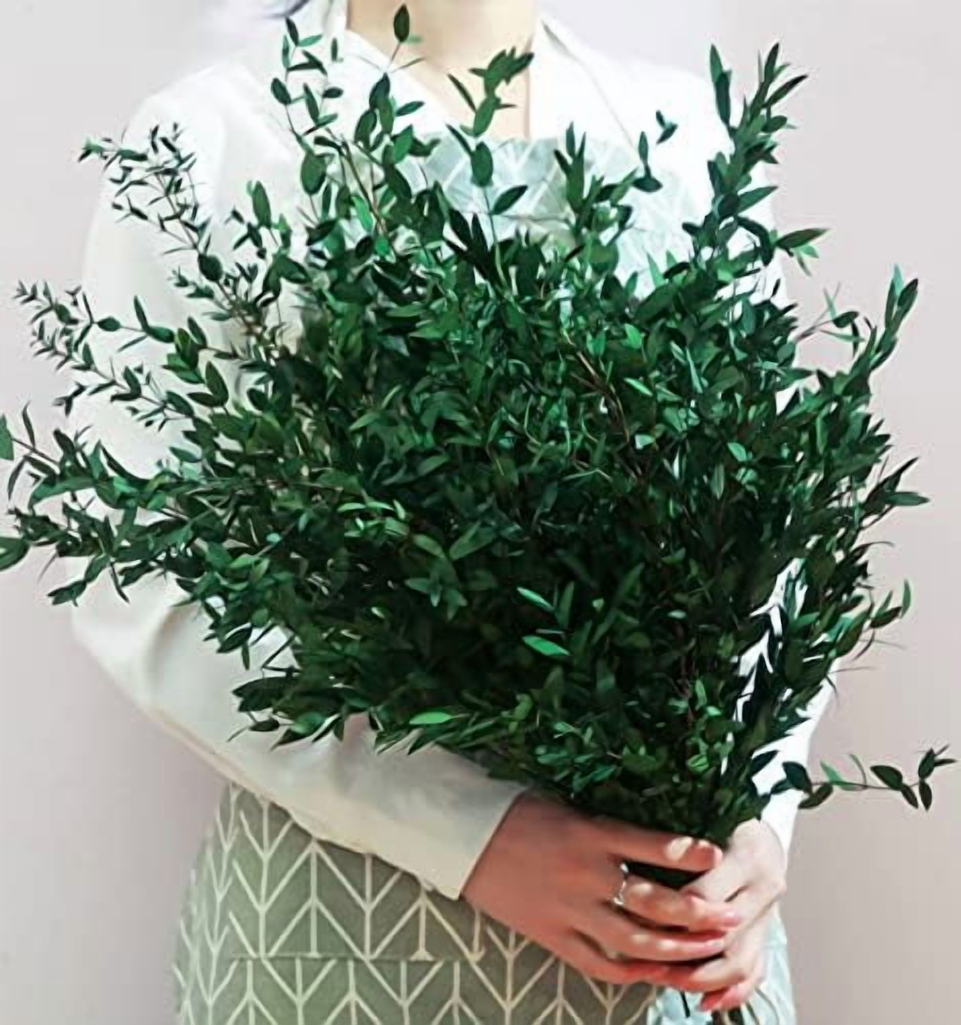 20+ Small Branches Dried Eucalyptus Preserved Greenery Stems, 7-14 Pcs ...