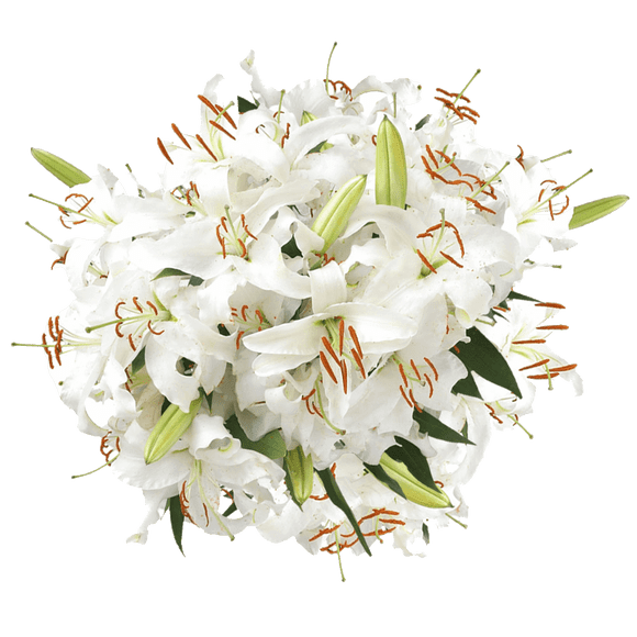 Lilies in All Flowers - Walmart.com