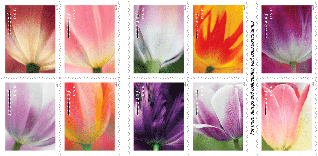 USPS Forever Stamps, 20 Tulip Blossoms, First Class Postage, Spring ...