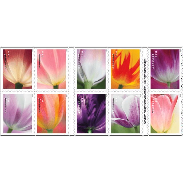 USPS Forever Postage Stamp - 20 Tulip Blossoms, First Class Floral ...