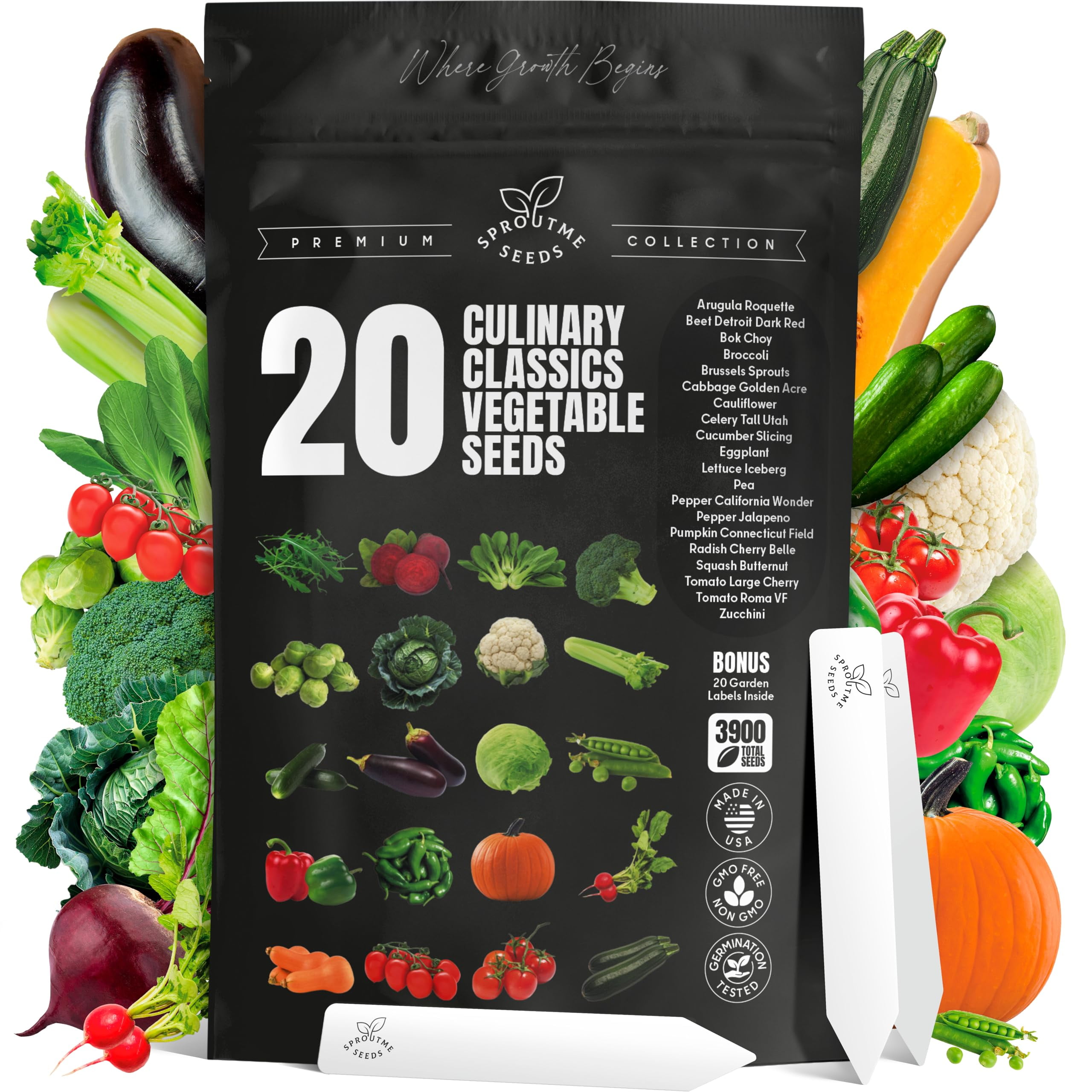 20 Vegetable Seeds For Planting Indoor MVR1 Outdoor Variety Garden ...