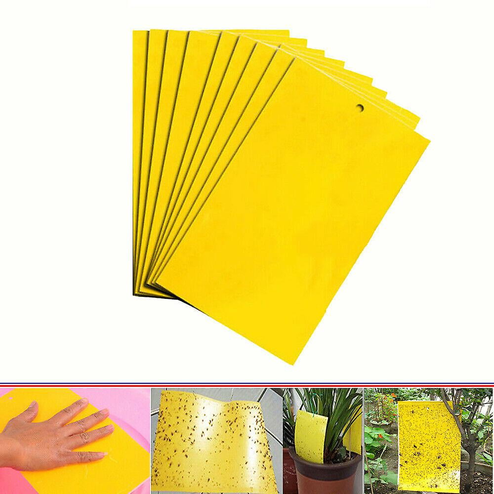 20 Yellow Sticker Fly Traps For Sticky Traps For White Flies, Aphids ...