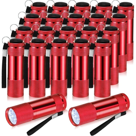 20 count Mini Flashlights Bulk, Bright Handheld Flash Light with ...