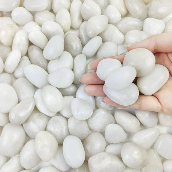 20 lbs White Rocks for Gardens, 1-2 inch Decorative Pebbles for Plants ...