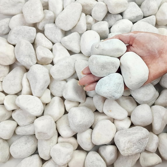 20 lbs White Rocks for Landscaping, 2-3 Inch Large River Rocks ...
