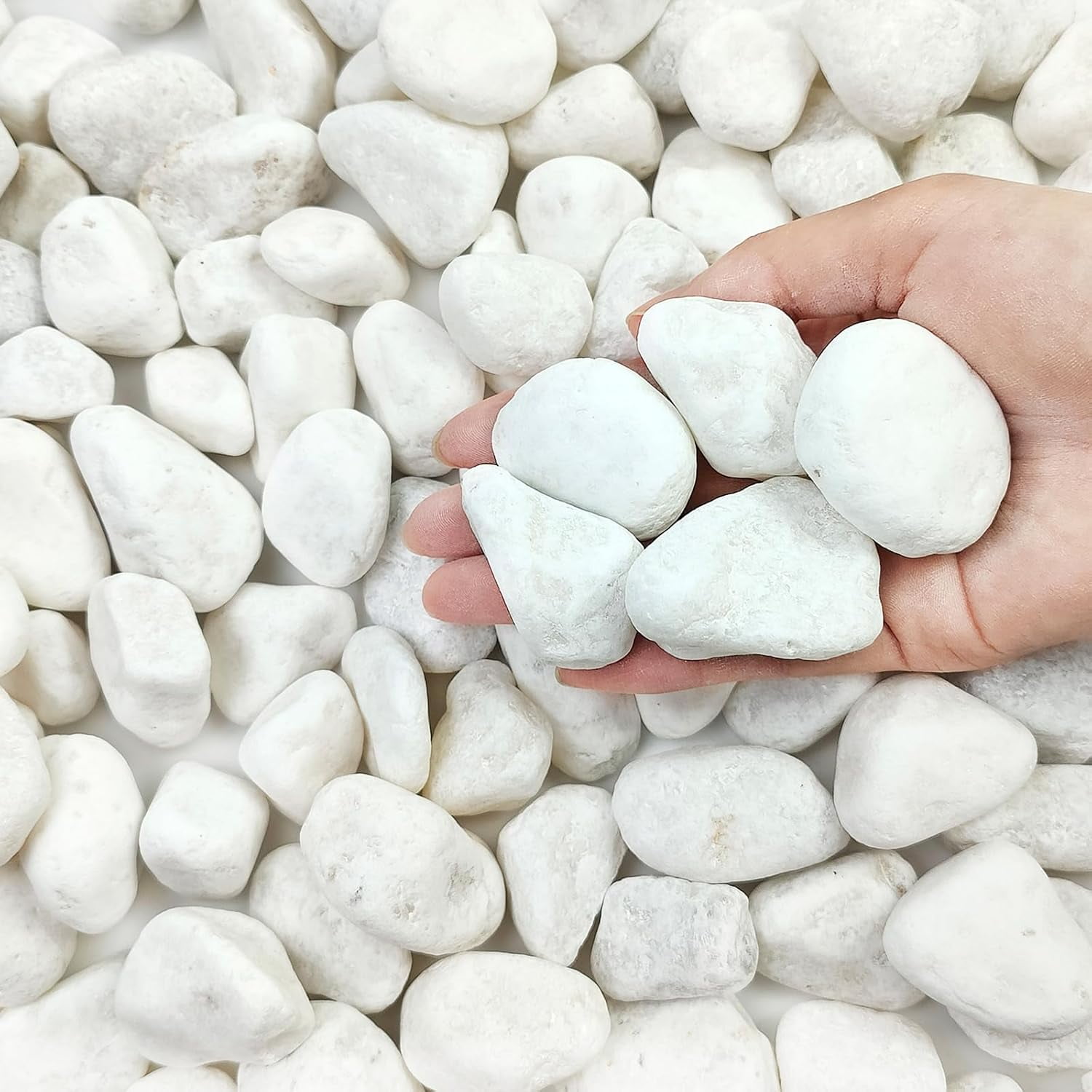 20 lbs White Rocks for Landscaping, 2-3 Inch Large River Rocks ...