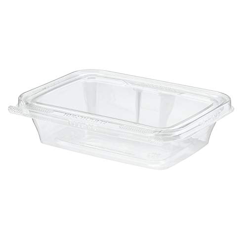 20 oz Clear HINGED Tamper-EVIDENT Container W/LID 200 Count [TS20] (200 ...