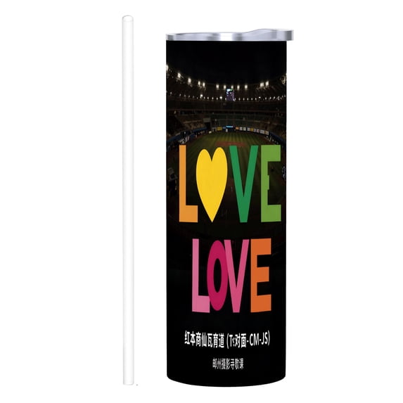 20 oz Stainless Steel Insulated Tumbler - Colorful ' LOVE ' Design with ...