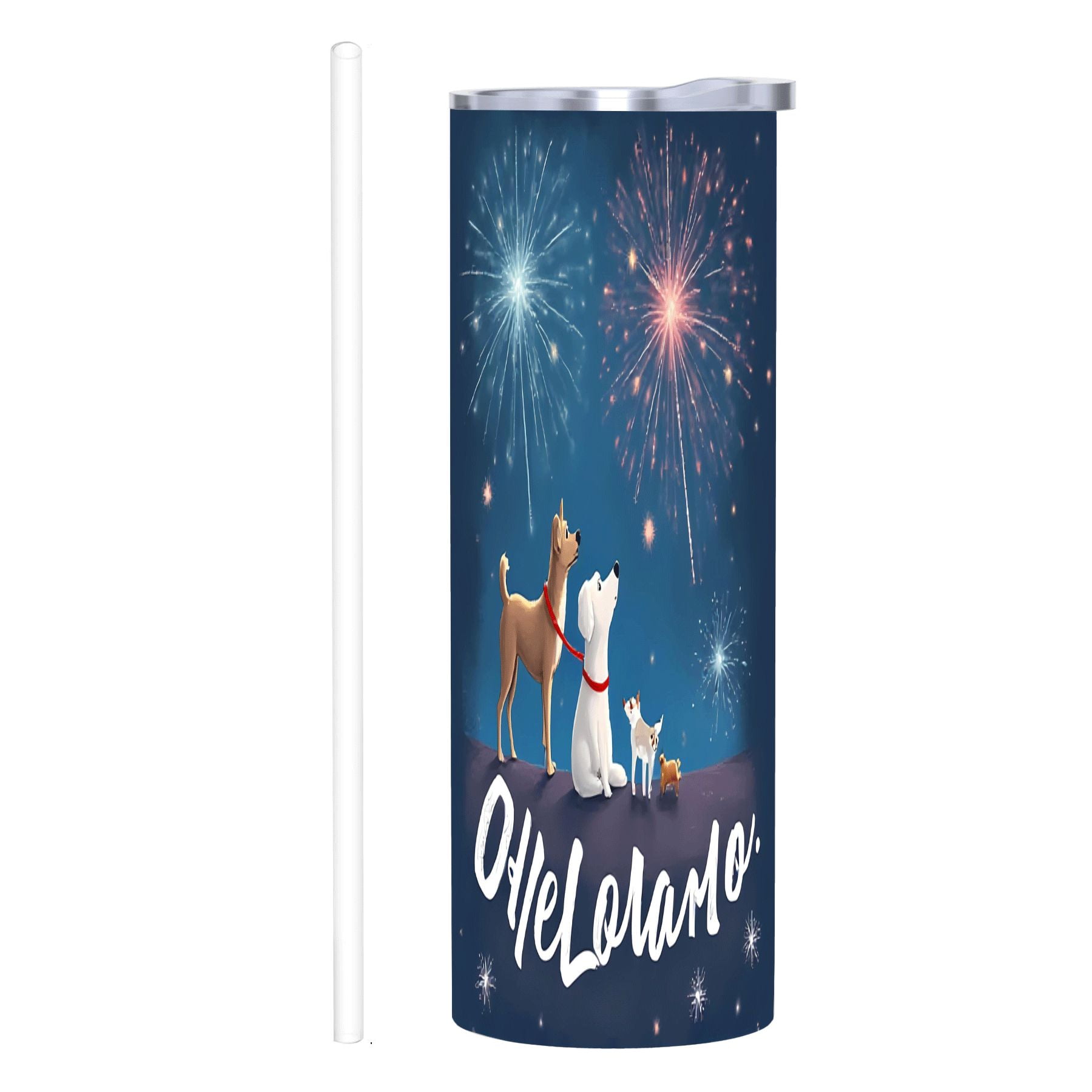 20 oz Stainless Steel Insulated Tumbler - Night Sky Fireworks Design ...