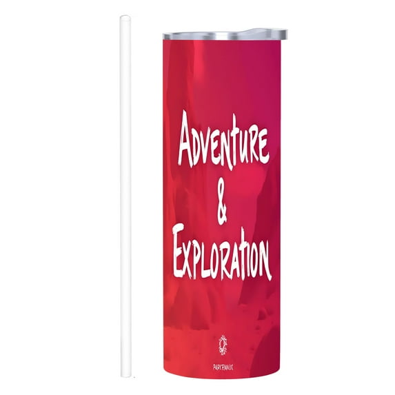 20 oz Stainless Steel Insulated Tumbler - Vibrant Red & Pink Gradient ...