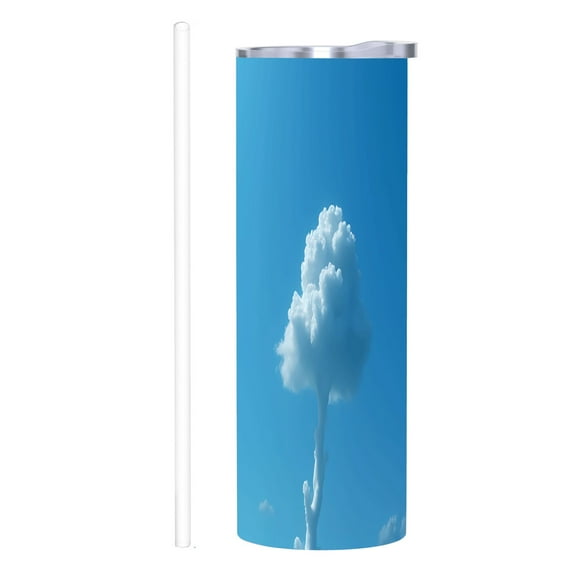 20 oz Stainless Steel Insulated Tumbler with Cloud Design - Reusable ...