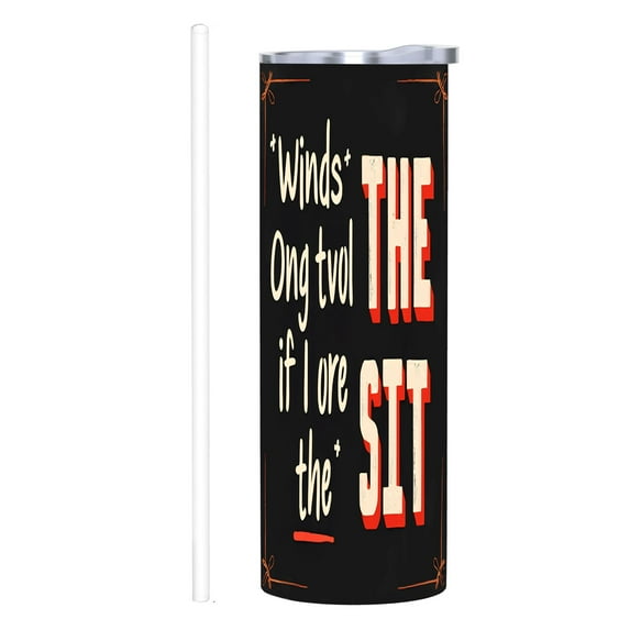 20 oz Stainless Steel Insulated Tumbler with Metallic Lid & Straw ...