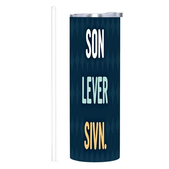 20 oz Stainless Steel Insulated Tumbler with Metallic Lid & Straw ...