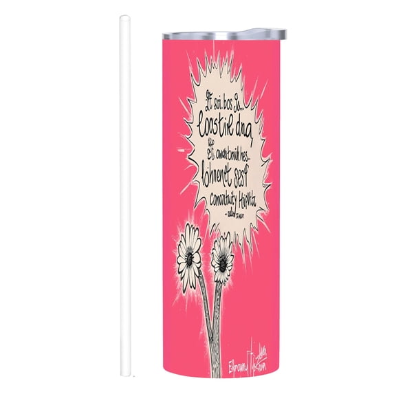 20 oz Stainless Steel Insulated Tumbler with Silver Lid & Straw - Fun ...