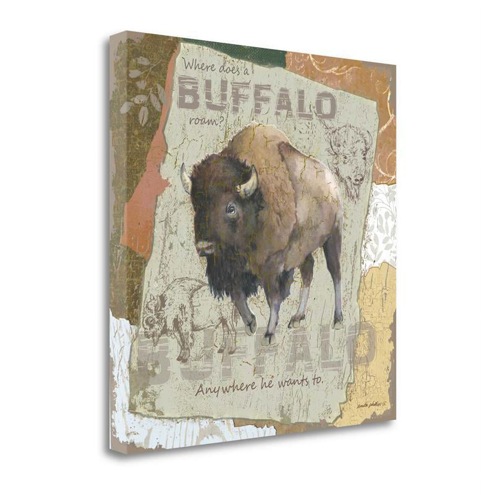 20" x 20" Buffalo Roam By Anita Phillips - Print on Canvas Fabric Multi ...