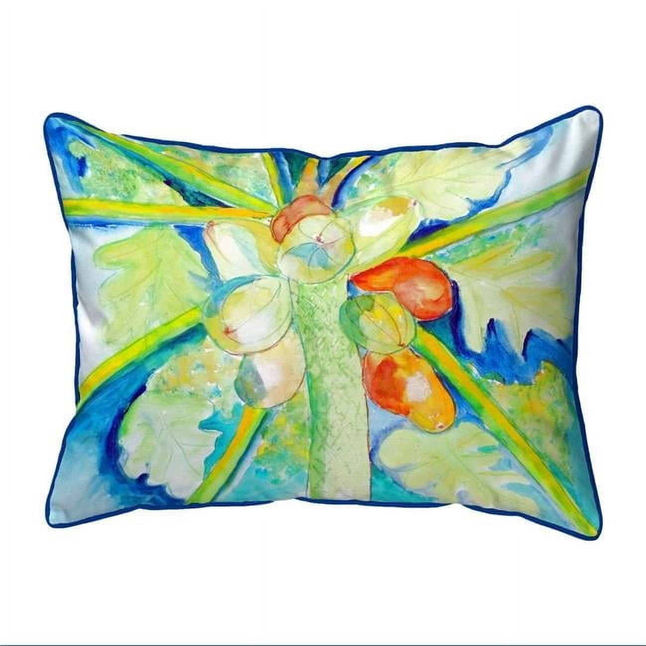 20 x 24 in. Big Cocoa Nuts Extra Large Zippered Indoor & Outdoor Pillow ...